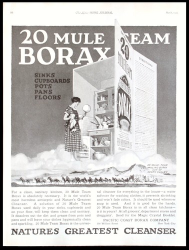 1923 20 Mule Team BORAX Cleanser Kitchen Cabinet in Big Box Vintage ...