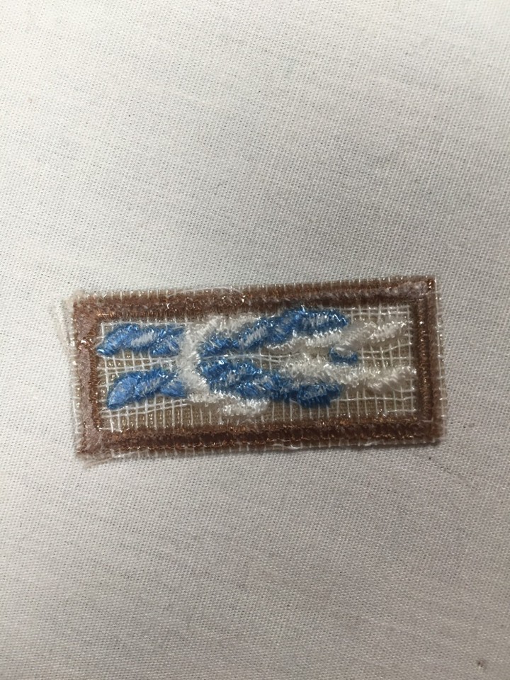 Silver Beaver council Award Tan Plastic Gauze Back BSA Knot Patch | eBay