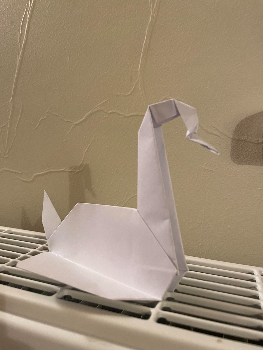 How To Make A Paper Swan Like In Prison Break How To Fold A