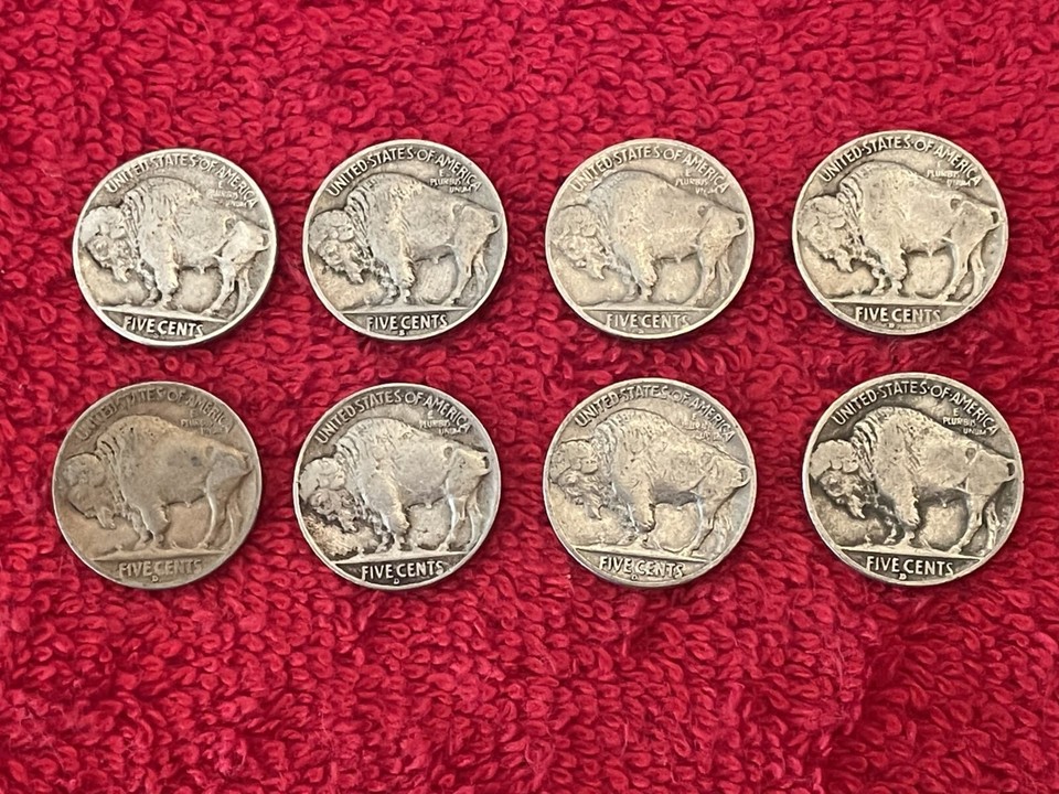 BUFFALO 1928-S, 29-S, 30-S, 34-D, 35-D, 36-D, 37-D, & 38-D: Fine, 8 ...