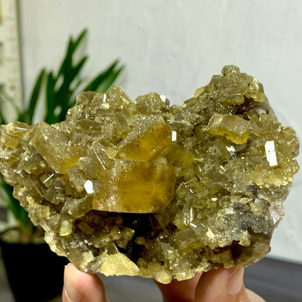 1.16LB Shiny Golden Cuboid Barite Crystal Based on the Purple Spherical ...