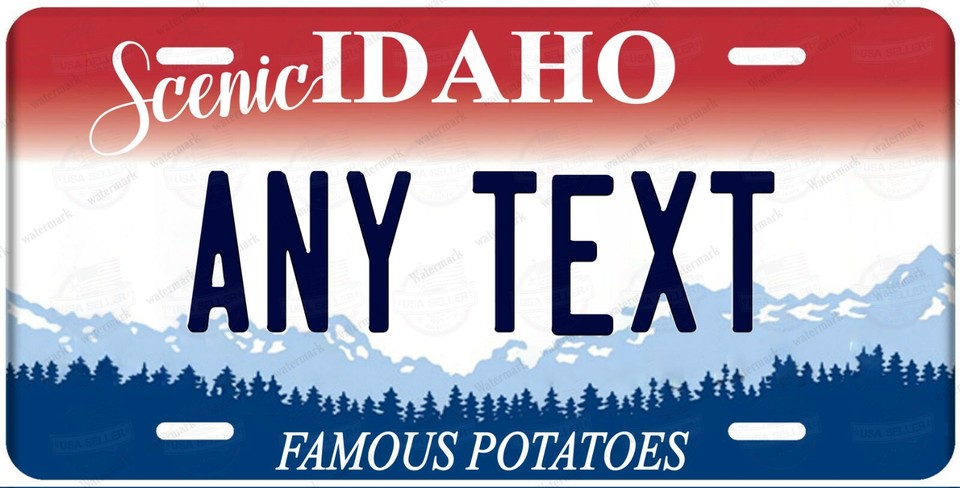 Personalized Custom License Plate Tag for Any State Wall Auto Car ...