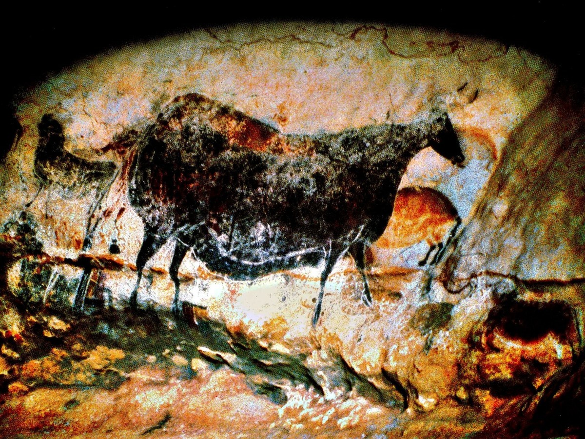 Lascaux Bull Bull Cave Of Lascaux, France Art Print By Granger