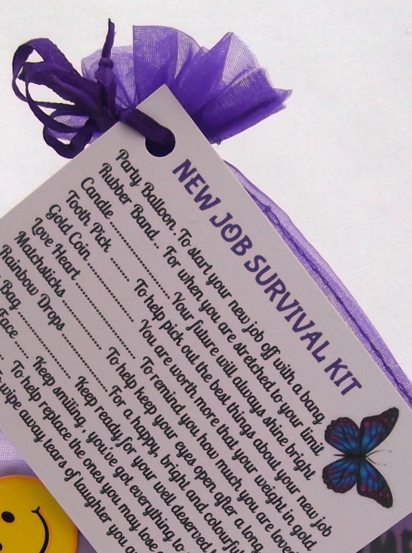 New Job Survival Kit Gift For New Job, New Career Promotion Leaving ...