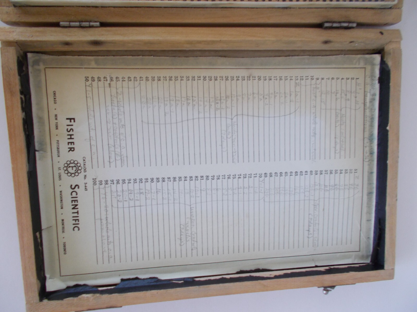 VINTAGE MICROSCOPE LAB SLIDES, WOOD BOX, LOT OF 100, ca 1940s | eBay