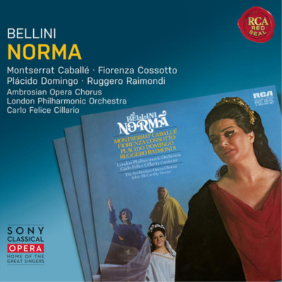 Vincenzo Bellini Bellini: Norma (CD) Album | eBay