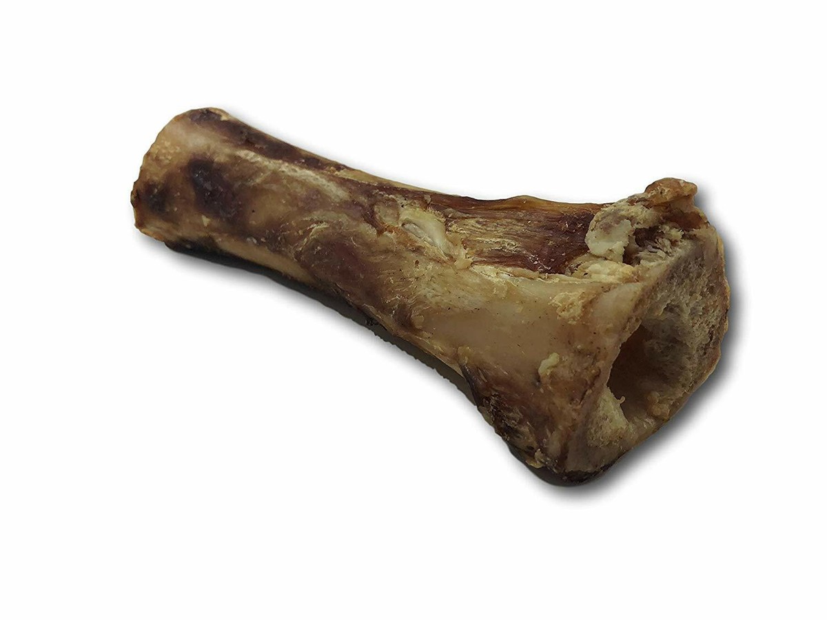 Femur Bones For Dogs