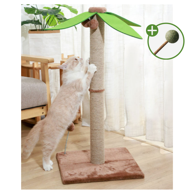 LUCKITTY Small Cat Scratching Posts Kitty Coconut Palm Tree-Cat Scratch ...
