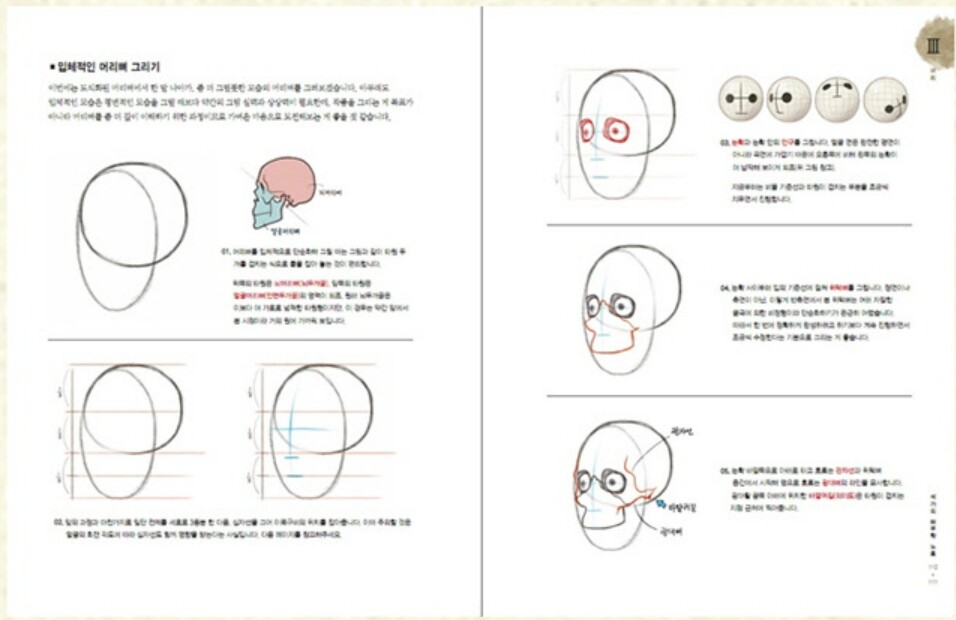 Express] Stonehouse's Anatomy Note Seok jeong hyun Figure Human Body ...