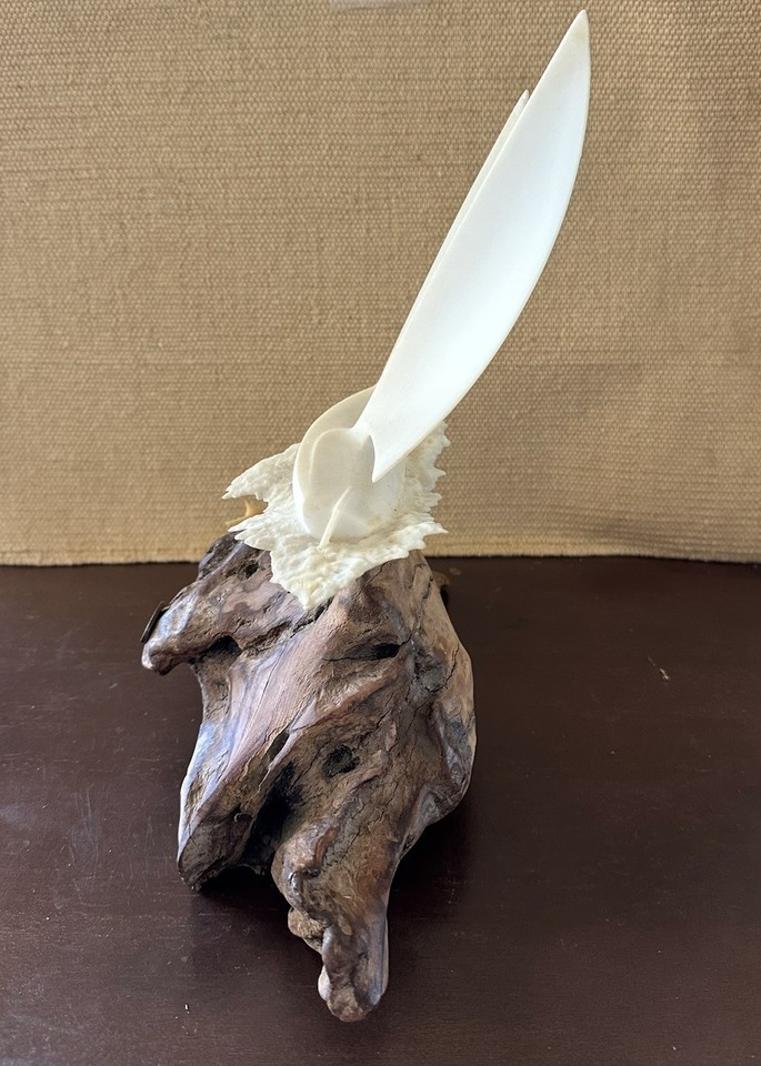 Vintage JOHN PERRY Sailboat & Dolphins On Burl Driftwood Sculpture 11 ...