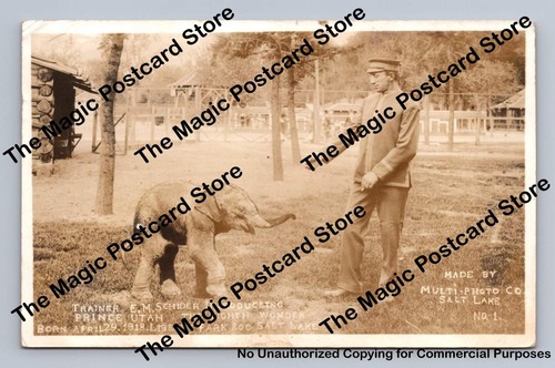 Baby Elephant "Prince Utah" RPPC Salt Lake City Zoo Antique Real Photo ...