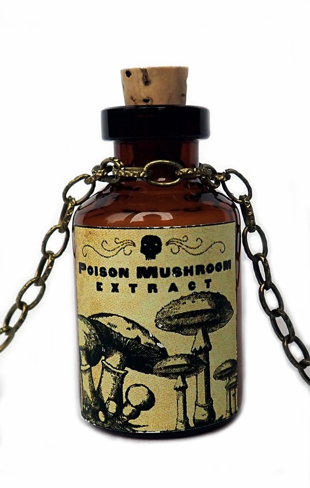 Apothecary Potion Bottle Pendant Poison Necklace Gothic Goth Steampunk ...