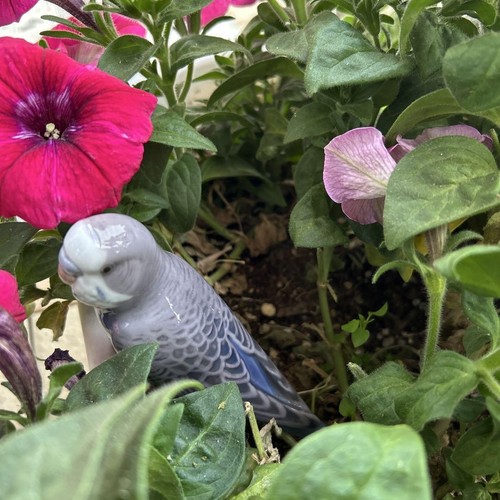 Royal copenhagen Blue Parakeet | eBay