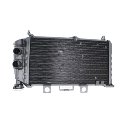 Radiator Assembly PA6.6GF30 Part Number - 1020953127 | eBay