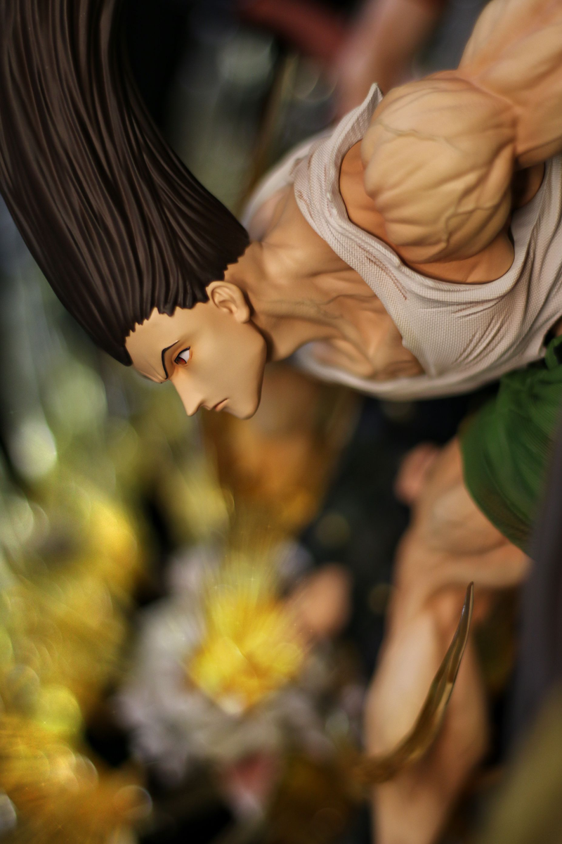 Gon Freecss Adult