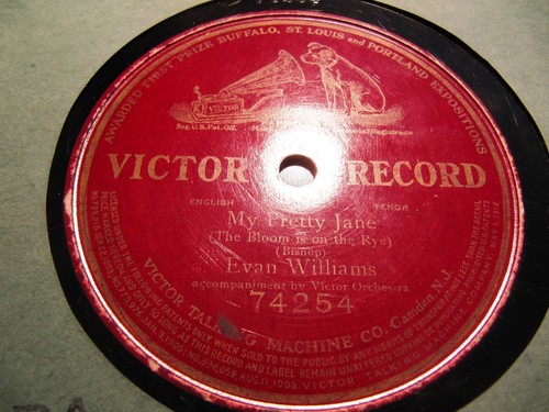 1911 US Tenor EVAN WILLIAMS Bishop MY PRETTY JANE Bloom is on rye ...