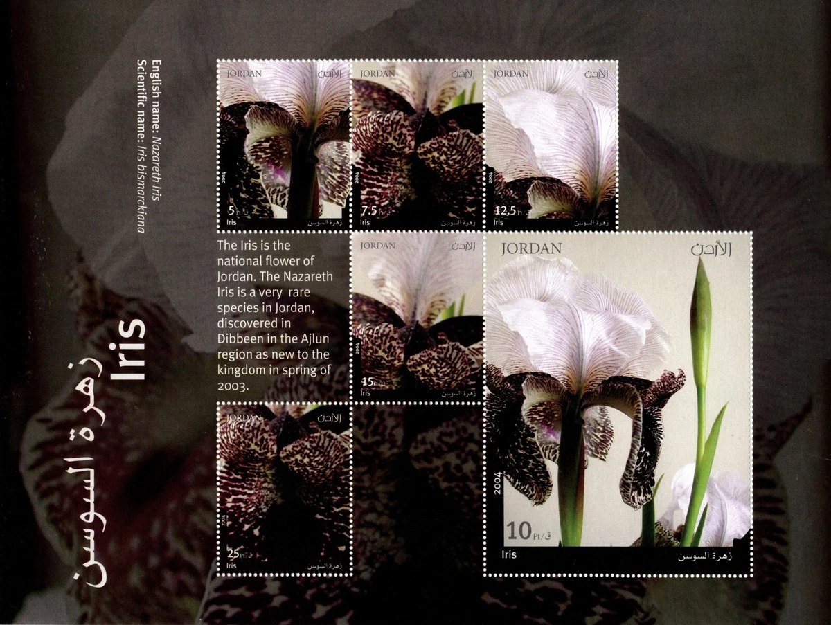 National Flower Of Jordan | Best Flower Site