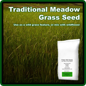 Traditional Meadow Grass Seed Mix Make A Wild Feature Or Add To Wild ...