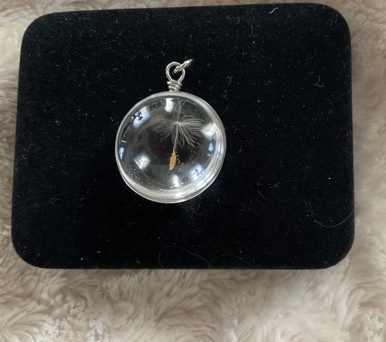 Pretty Dandelion Seed Pendant Encased in Resin | eBay