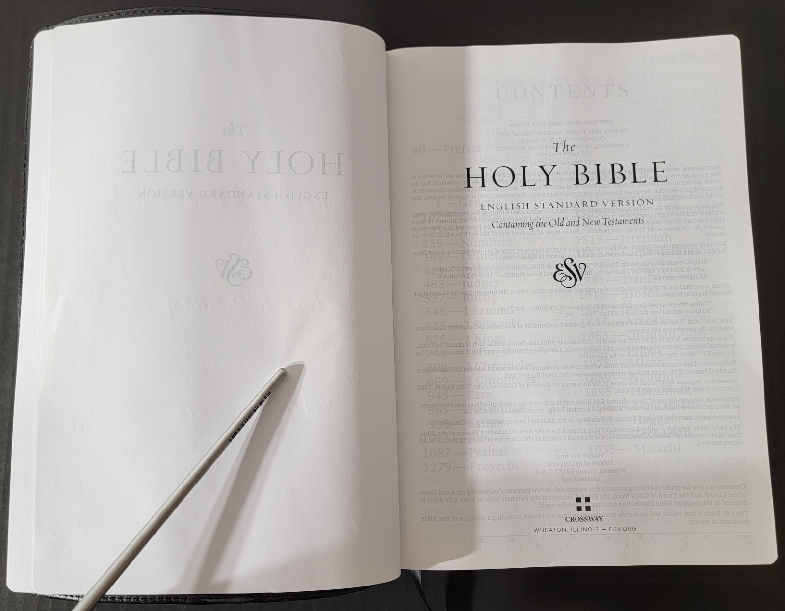 ESV Super Giant Print Bible/ Font Size-17pt/ TruTone Imitation Leather ...