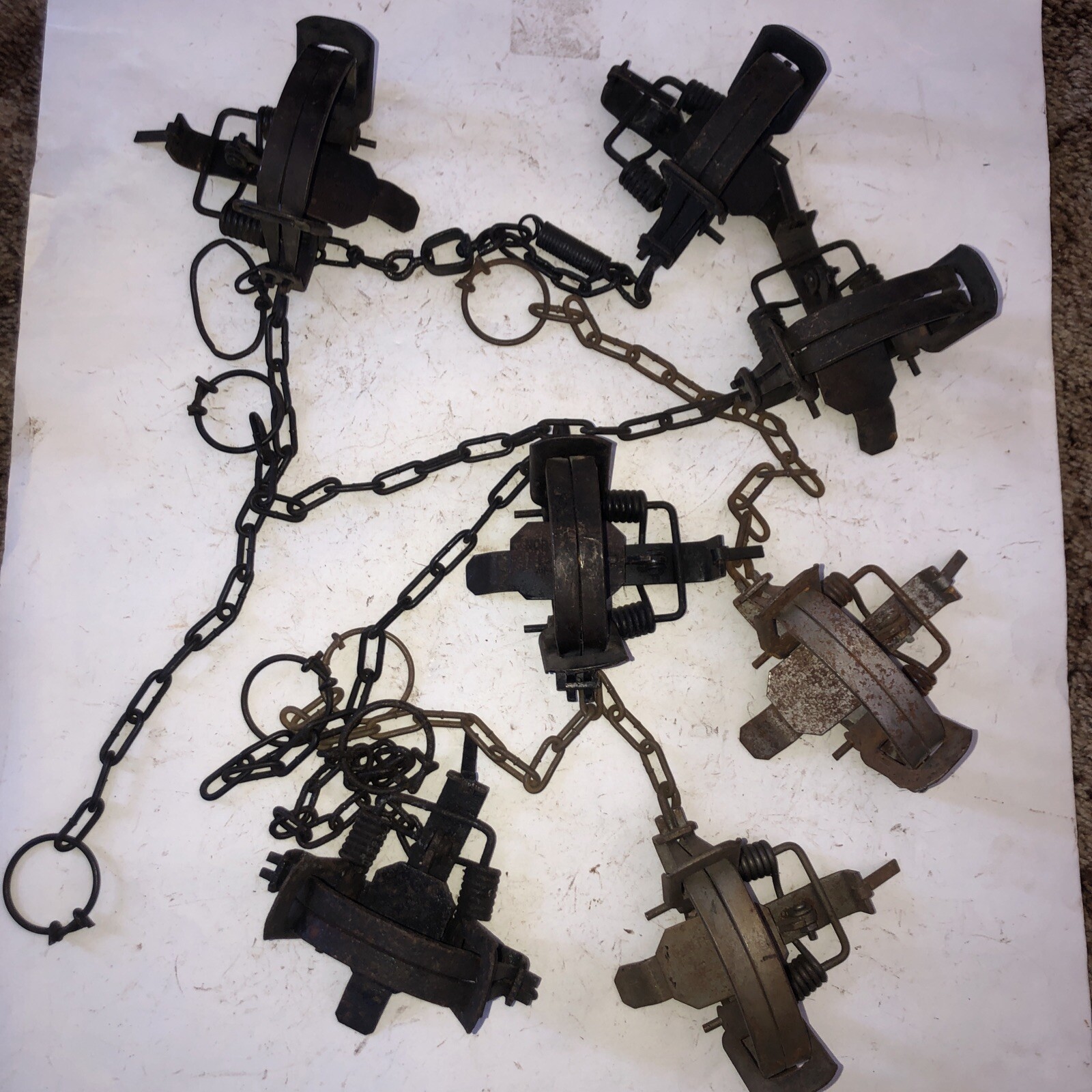 Nice Lot of 7 Vintage Northwoods No 1 1/2 Coil spring Traps Round Jaws ...
