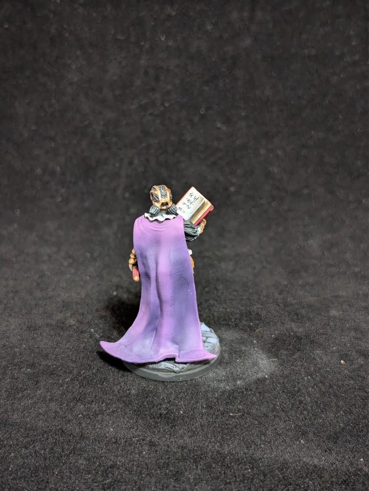 Lady Elira Moonfire - Arcane Mage – Premium Hand-Painted Fantasy ...