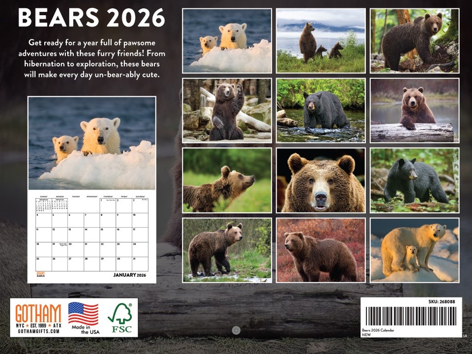 Bear Calendar 2026 Bears Monthly Wall Calender 12 Month 12x18 | eBay