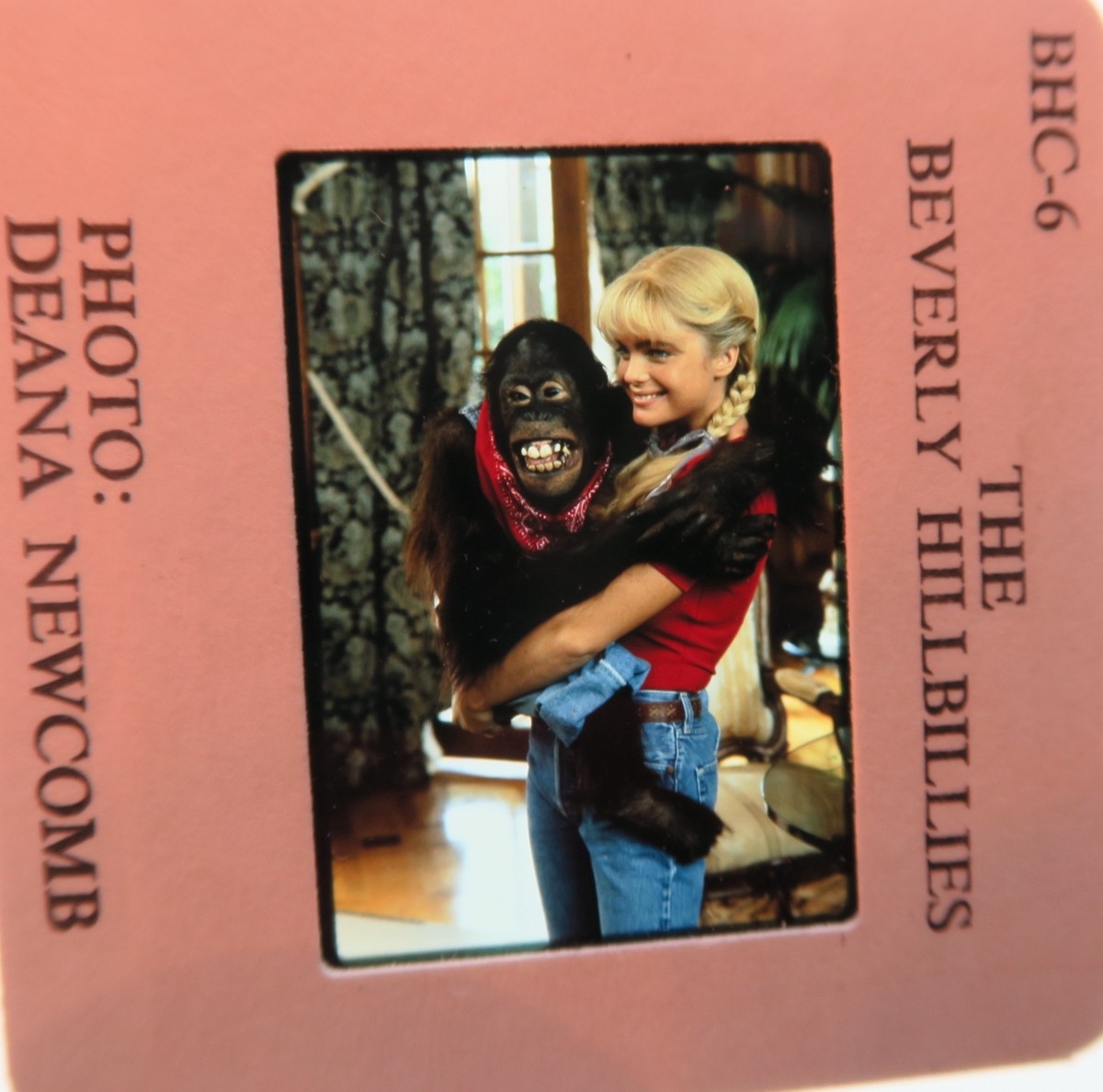 The Beverly Hillbillies Erika Eleniak As Elly May Clampett ERIKA