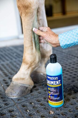 Equine Liniment for Fast-Acting Relief of Muscles and Joints – Menthol ...