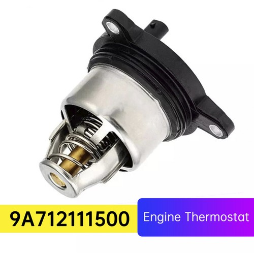 9A712111500 Engine Thermostat for Porsche Urus Bentley 4.0T F1 | eBay