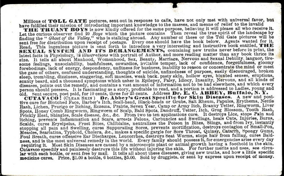 trade card; 1877, Millions of Toll Gate pictures, The Truant Boys,? S6D ...