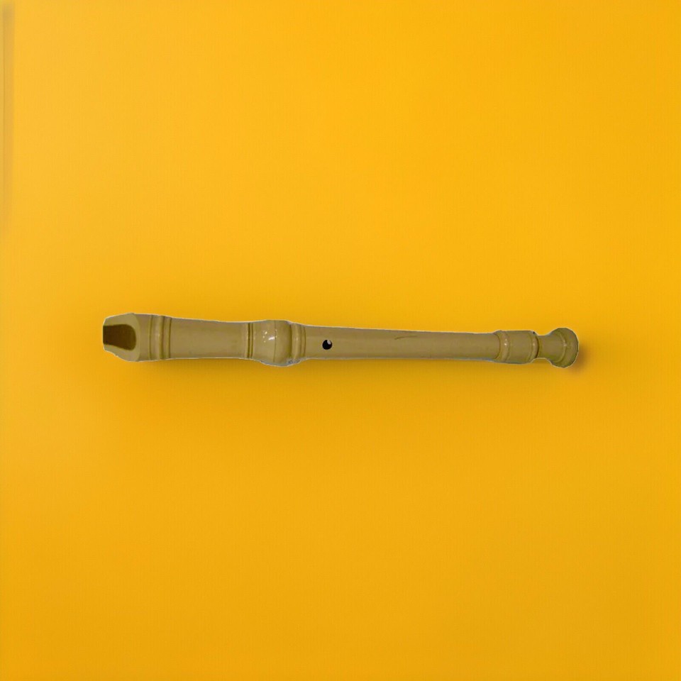 Yamaha Plastic Recorder. | eBay