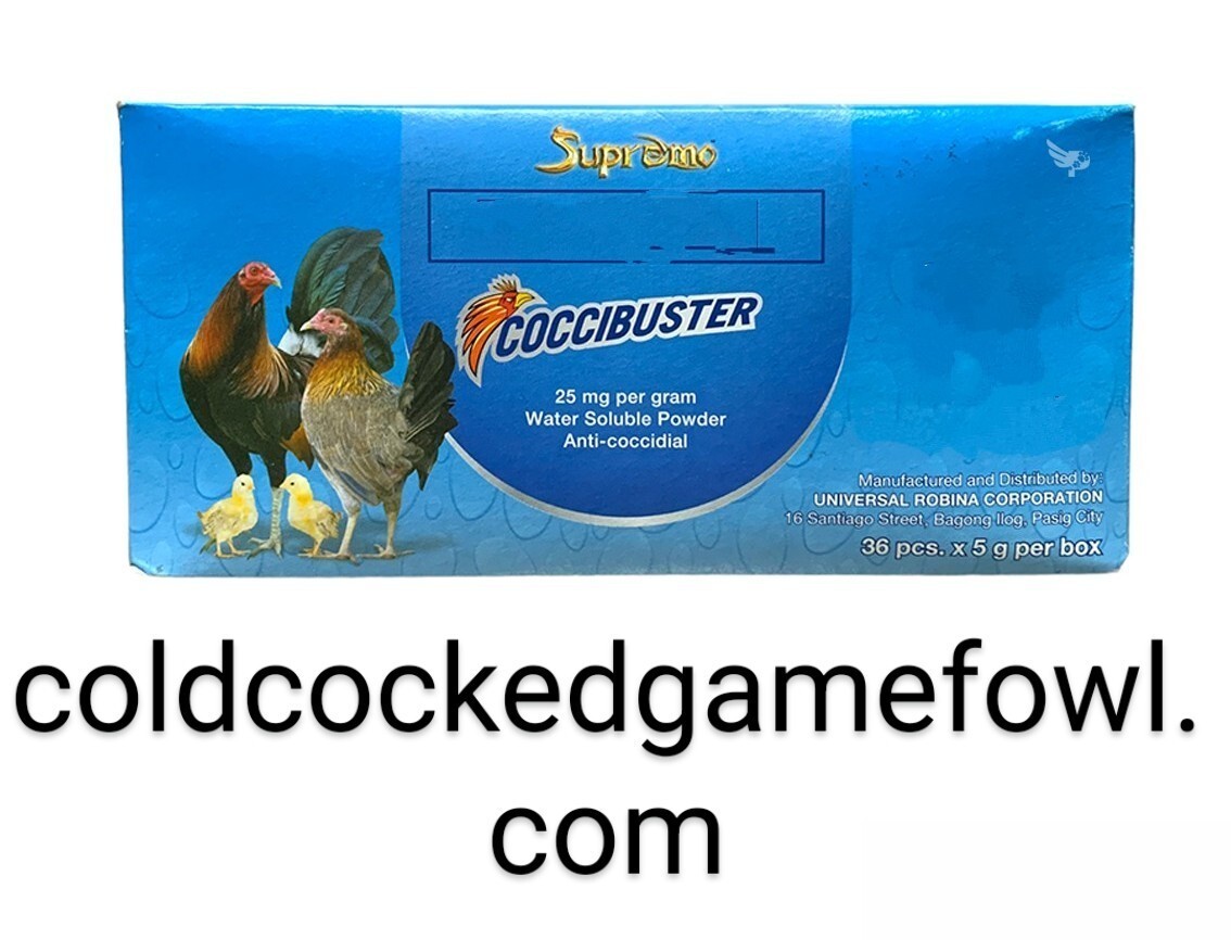 Coccibuster Poultry Chicken Gamefowl Anti-Coccidial 12 5g Packets | eBay