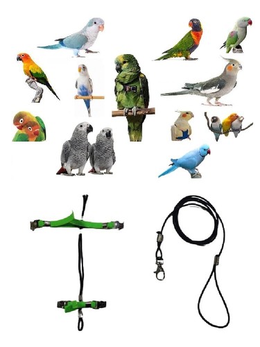 Amazon Blue Yellow Pink Elastic Neck Parrot Bib 3MM Steel Fasteners | eBay