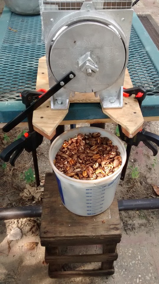 Pecan Nut Cracker English Walnut Sheller Machine Tool Metal ...