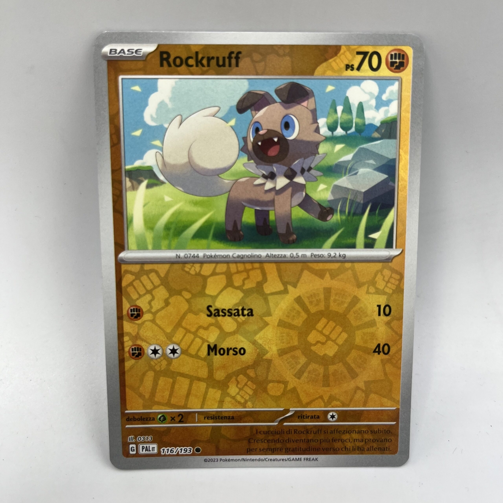 Pokemon Card Rockruff Common Reverse (IT) | 116-193 Evolutions In ...