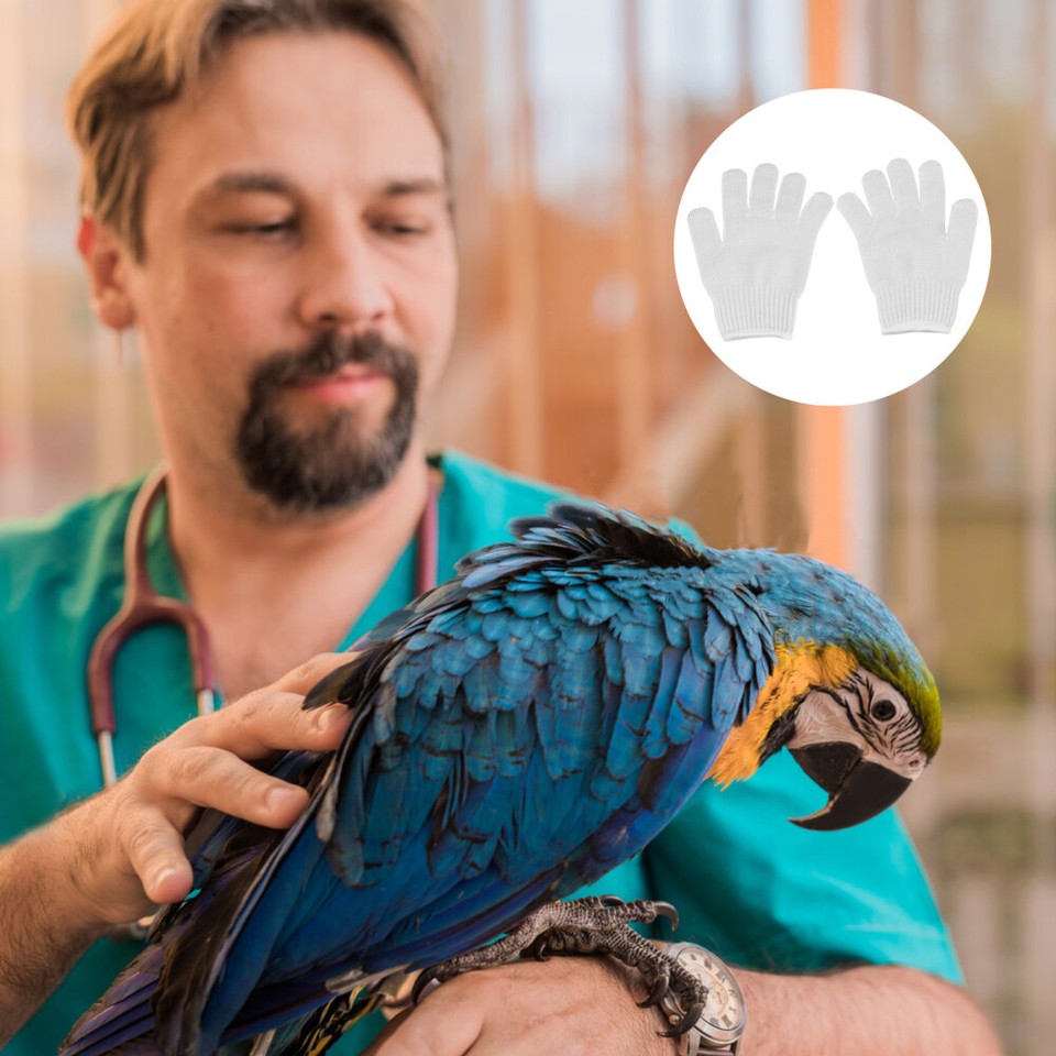 Cockatiel Catching Glove Parrot Bite Resistant Gloves Protective for ...
