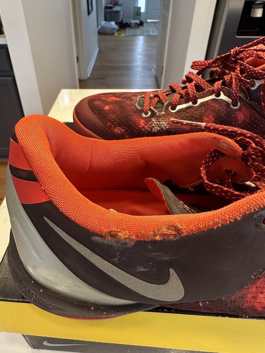 Year Of The Snake Lebron X