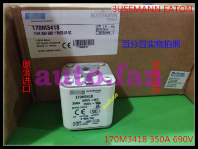 170M3418 Fuse 350A 690V 170-M3418 | eBay