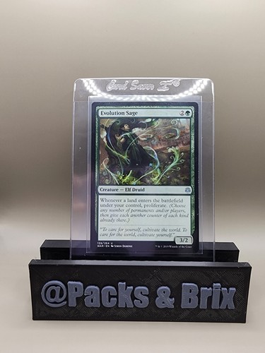 MTG Evolution Sage Commander: Zendikar Rising 065 Regular Uncommon | eBay