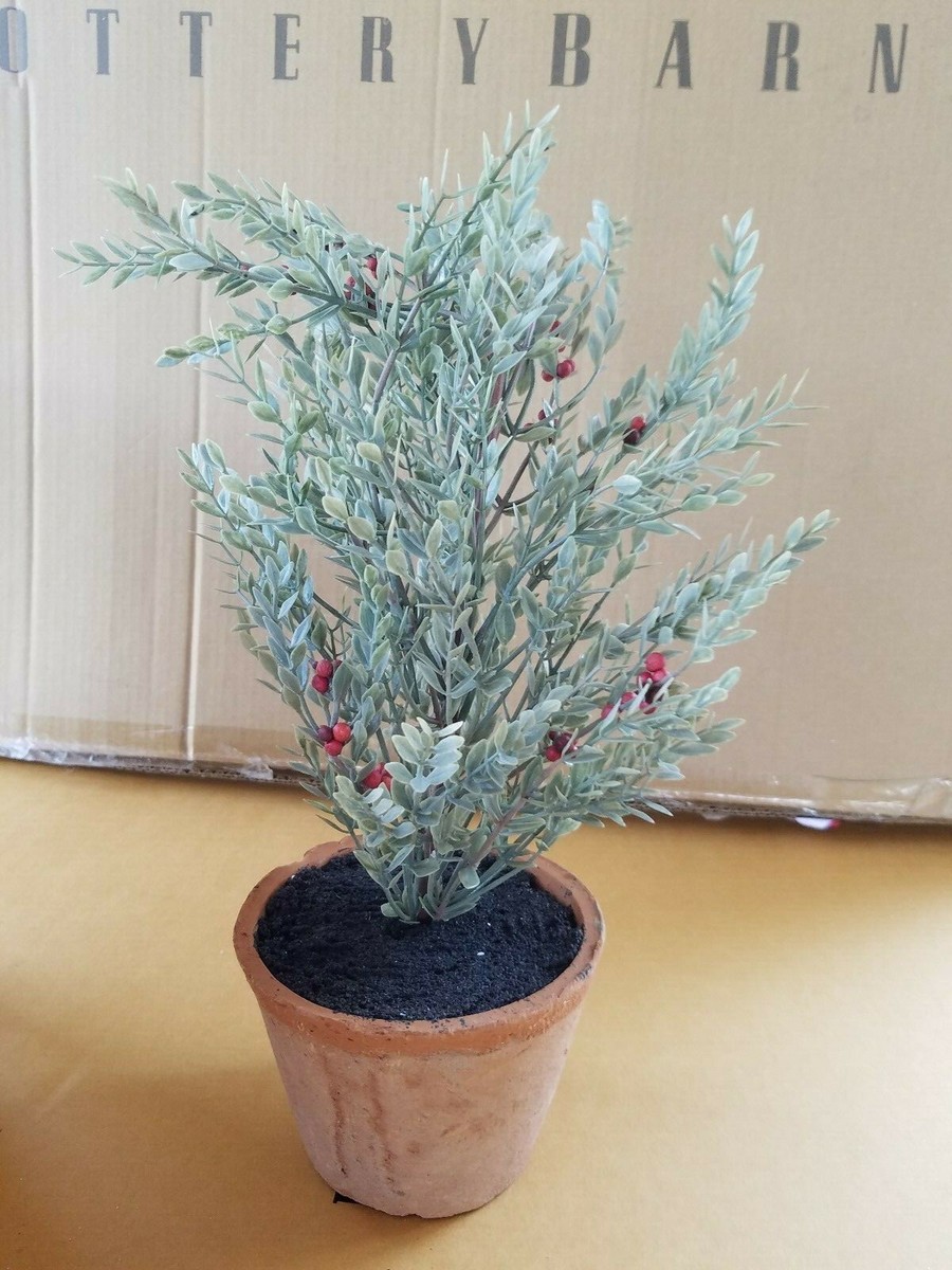 Pottery Barn Faux Plants