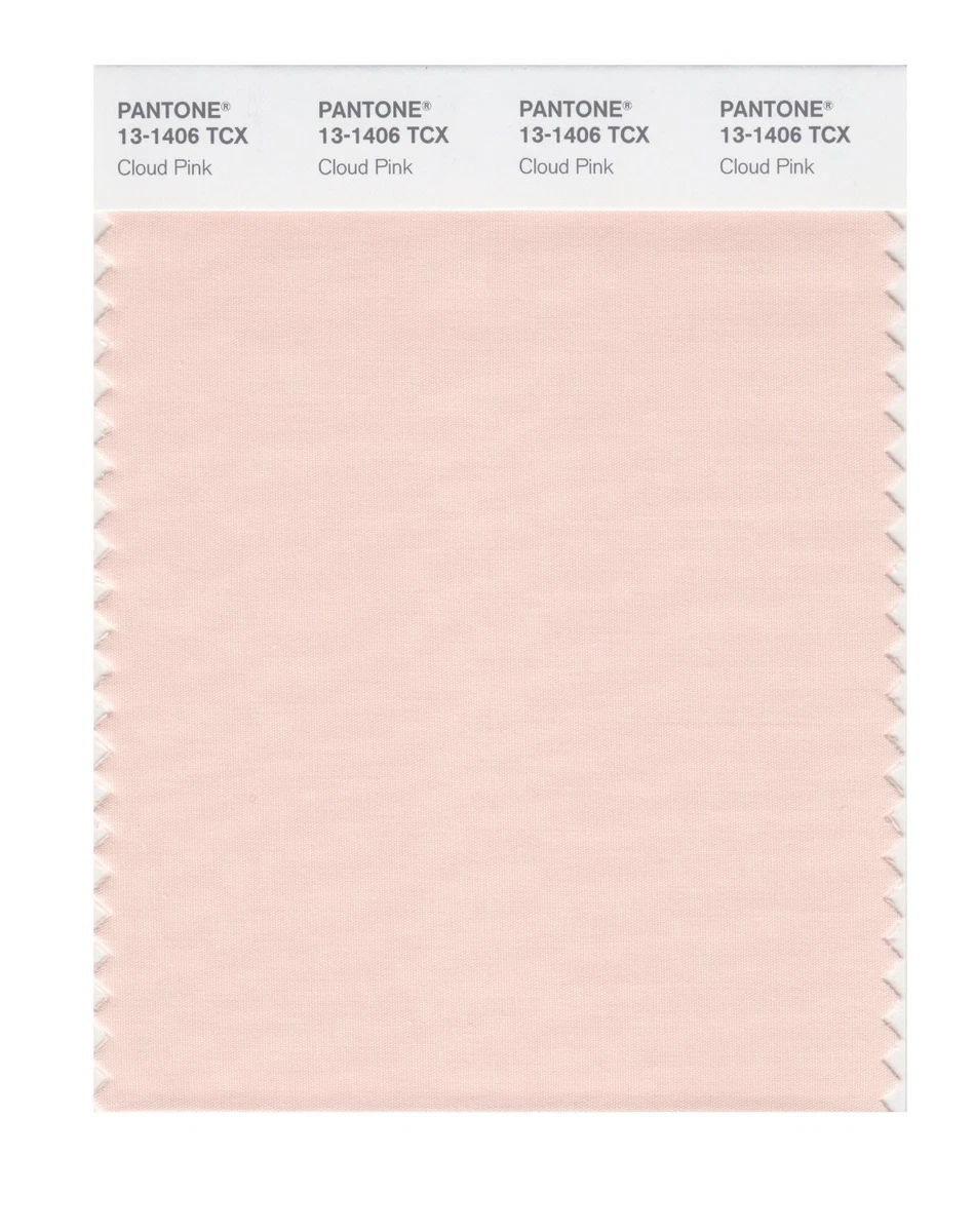 Blush Color Pantone