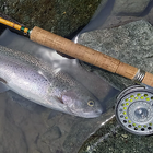 Rods and blades | eBay Stores