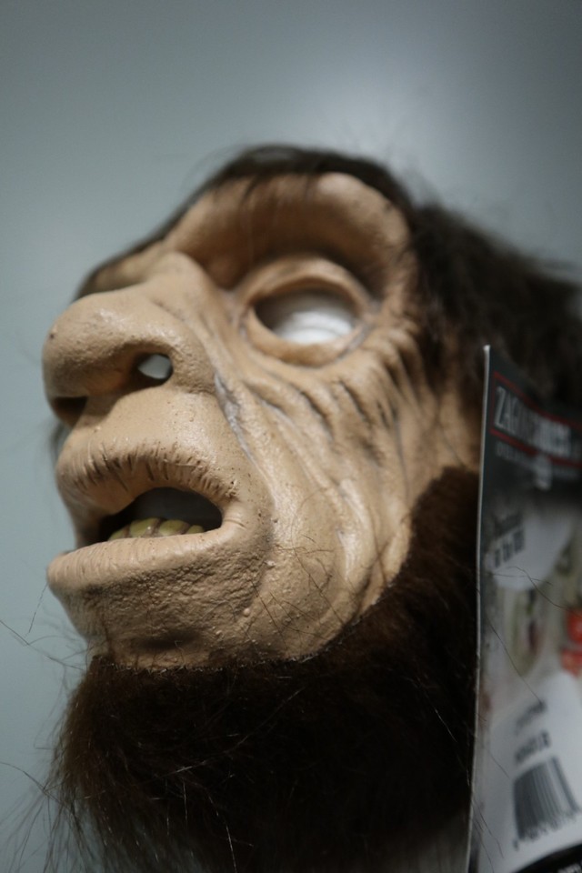 Neanderthal Primitive CaveDweller - Zagone Studios "Caveman" Adult ...