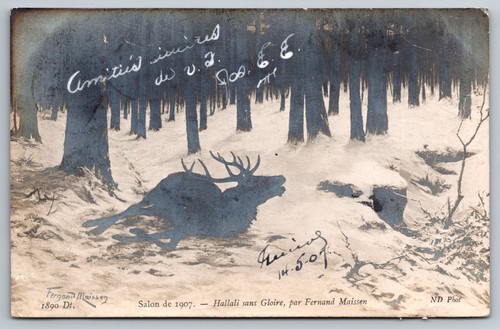 1909 Photo. Hunting Moose ? France. Vintage French Postcard | eBay