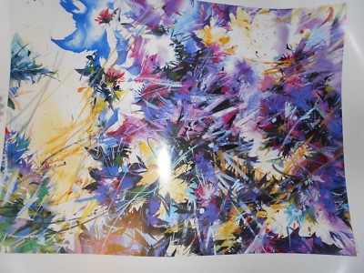 Rhapsody by Zoe Mac | eBay