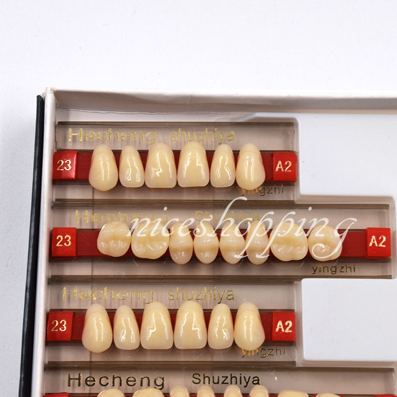 Dental 3 Set of 84*1 Acrylic Resin Denture Teeth VITA Color A2 Upper ...