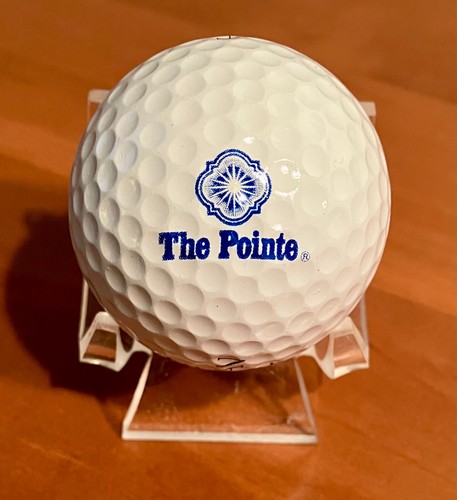 Vintage The Pointe Golf Resort (Arizona) Hogan Logo Golf Ball | eBay