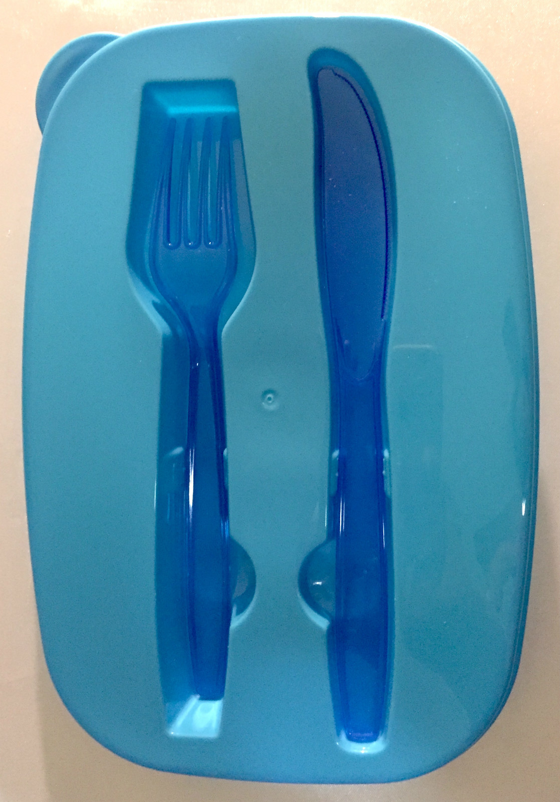 SALAD TO GO-Lunch, Fork, Knife, Plastic bowl container Fast Shipping ...