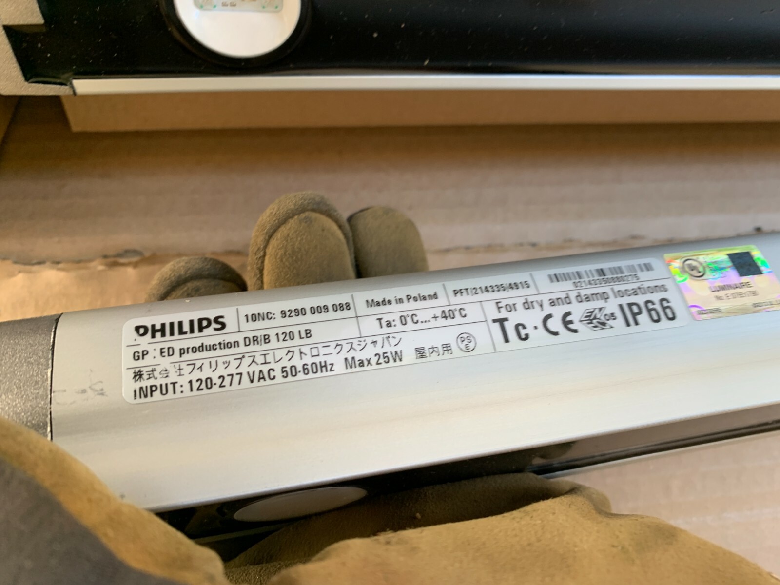 Philips GreenPower LED Production DR/B Lights - 9290 009 08806 - Pack ...
